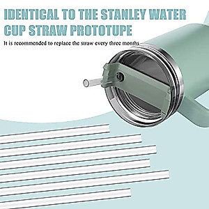 6 Pack Replacement Straws for Stanley Adventure Travel Tumbler, Individually Packaged Reusable Straws Plastic Straws with Cleaning Brush Compatible with Stanley Cup 40 oz, Long Straws for Stanley Cup