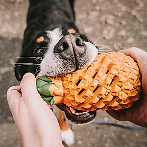 Herm Sprenger – Pineapple Dog Chew Toy for Aggressive Chewer – Natural Rubber Dog Treat Dispenser – Large Tough Dog Dental Teeth Cleaning Chew Toys for Large and Medium Breed