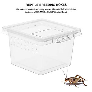 balacoo 100Pcs Reptile Breeding Box Plastic Transparent Feeding Case Hatching Container with Lid for Spider Scorpion Gecko Insect Snake Tortoise