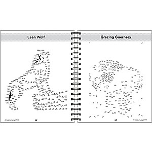 Brain Games - Dot-to-Dot Nature's Garden
