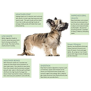 Steve's Real Food Raw Freeze Dried Dog Food Assorted Flavors- 3 Packs of 1.25 lb Bags of High Protein Dog Food in Chicken, Beef, and Turkenduck Flavors - 100% Natural USDA Human Grade Ingredients