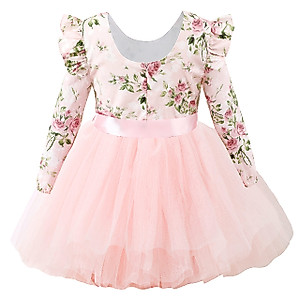 Flofallzique Toddler Tulle Dress Long Sleeves Vintage Floral Little Girls Tea Party Dresses (Peach, 1 Year)
