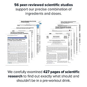 Legion Pulse Pre Workout Supplement - All Natural Nitric Oxide Preworkout Drink to Boost Energy, Creatine Free, Naturally Sweetened, Beta Alanine, Citrulline, Alpha GPC (Fruit Punch)