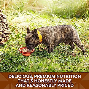 Nature's Recipe Wet Dog Food, Chicken & Turkey in Broth Recipe, 2.75 Ounce Cup (Pack of 12)