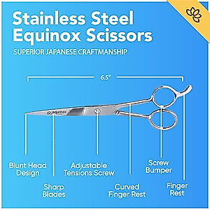 Equinox 6.5" Professional Hair Cutting Scissors for Men & Women - Ice Tempered, Silver - Hair Cutting Shear Professional - Barber Scissor Professional - Shears for Hair Cutting - Haircut Scissors