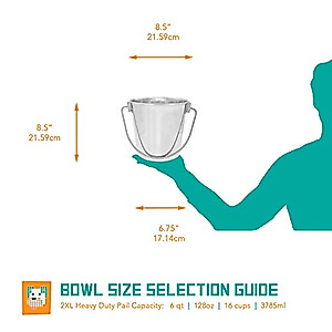 Fuzzy Puppy Heavy Duty Pail with Contoured Handle, Great for Dog, Cat and Critter Crates, Kennels, Coups & Cages, Stainless Steel, Silver, 6-Quart (HDP-6)