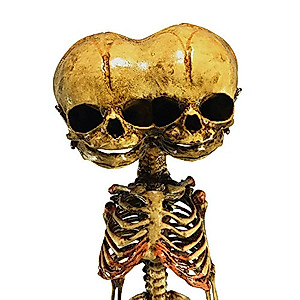 Asylum Zone Vintage Triclops 3-Eyed Baby Fetus Skeleton Fetal Specimen Oddity