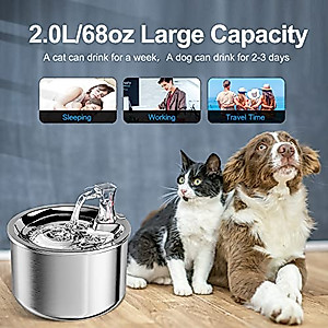 Heroange Cat Water Fountain Stainless Steel, 68oz/2L Ultra Quiet Pet Water Fountain for Cats Inside, Automatic Pet Drinking Fountain with Filters, Dog Water Dispenser Bowl Dishwasher Safe