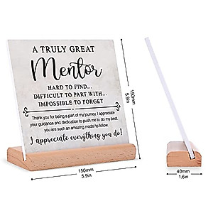 Mentor Gifts for Women Men, Thank You Mentor Sign, Plaque With Stand, Leaving Going Away Retirement Appreciation Gifts for Boss, Coworker, Teacher, Counselor, Coach, Supervisor