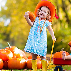 Kisston 20 Piece Seasonal Holiday Lanyards for ID Badges Flat Pass Lanyards with Stainless Swivel Hook Neck Multiuse Seasonal ID Tag Name Badge Lanyards for Keys Office School Cruise Gifts