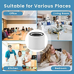 2 Pack HEPA-14 Replacement Filter Compatible with 240 Purifier, 3-in-1 Filtration System of Nylon Pre-Filter, Activated Carbon Filter and Grade True 14 HEPA Filter Replacement