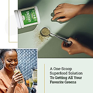 Super Greens #1 Green Superfood Powder | 100% USDA Organic Non-GMO Vegan Supplement | 20+ Whole Foods (Spirulina, Wheat Grass, Barley), Probiotics, Fiber & Enzymes (Original, 30 Servings) (Original)