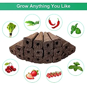 122pcs Seed Pod Kit, Hydroponics Garden Accessories for Aerogarden Growing System, Grow Anything Kit with 30 Grow Sponges, 30 Grow Baskets, 30 Grow Domes, 2 100ml Plant Food