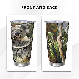 AYCZN Koala On Branch 20 OZ Tumbler Stainless Steel Travel Coffee Mug, Cute Animal Insulated Water Bottle with Lid and Straws Leakproof Thermal Cup