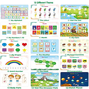 My Preschool Toys Gift for Kids & Toddlers Boy Girls,Reusable Waterproof Busy Book Quiet Book Activity Board Busy Educational Learning Toys Work Book(15 Themes-Style B)