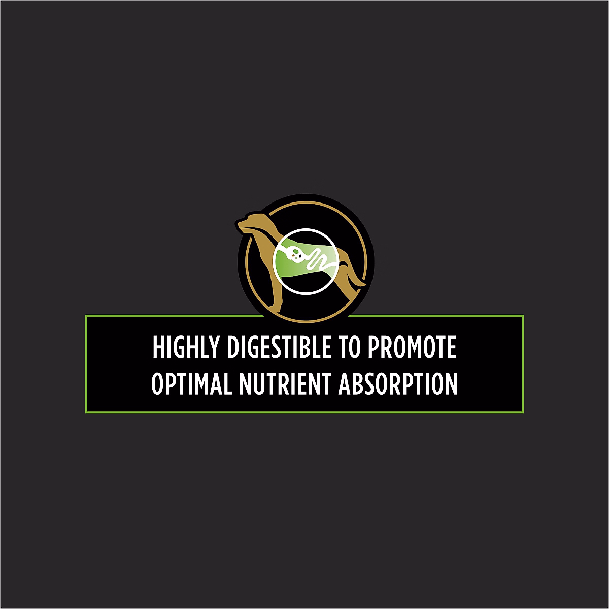 Pro Plan Veterinary Diets Purina HA Hydrolyzed Protein Dog Food Dry Salmon Flavor Formula - 25 lb. Bag