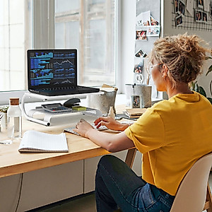 WALI Monitor Stand Riser, Desk Organizer with 2 Tiers Storage Shelf, Vented Metal Design for Laptop, Computer Monitor and Printer (STT001BW), 1 Pack, White