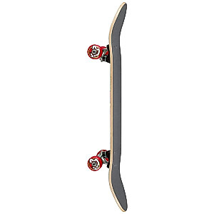 SANTA CRUZ Classic Dot Mid Sk8 Completes, Green 7.80in x 31.00in