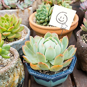 Booluee 30 Pcs Metal Wire Place Card Holders, Photo Clip Holders Craft Table Card Holders Memo Note Photo Metal Clamps Clay Decor Cake Toppers Wedding Party Decorations (Musical Note)