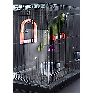 Feathered Phonics The Seed Guard, Small