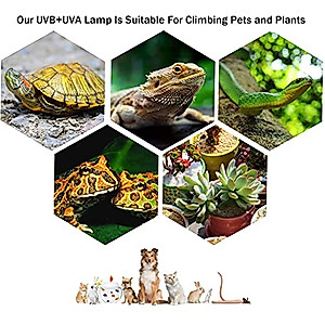 4-Pack 50W UVA+UVB Bulbs | Heat and Light for Reptiles and Amphibian Tanks, Terrariums and Cages | E27 Lamp Works with Various Lamp Fixtures