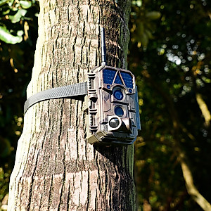 Meidase P100 WiFi Trail Camera, Bluetooth, 32MP 1296p, Game Cameras with 100ft Night Vision, Motion Activated, Waterproof