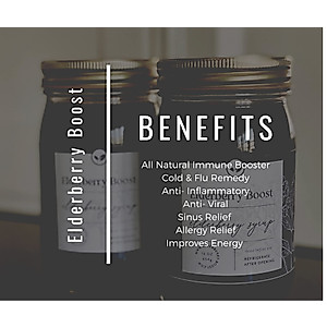 Elderberry Boost - Organic Elderberry Syrup with Raw Honey - Made for Kids & Adults (16 oz)
