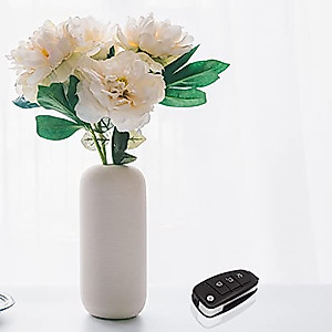 HD 1080P Mini Car Key Camera Video Spy Cam, Portable Small Security DVR Cam with IR Night Vision/Motion Detection,Mini Recording Device for Indoor & Outdoor No Needed WiFi No Audio