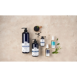 DR.SEED Hair Energizer Shampoo Booster. Fortifies the Hair Solution the Scalp 3.3fl.oz / 100m (Energizer)