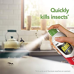 Raid Essentials Ant & Roach Killer Aerosol Spray, Child & Pet Safe, Kills Insects Quickly, for Indoor Use, 10 oz