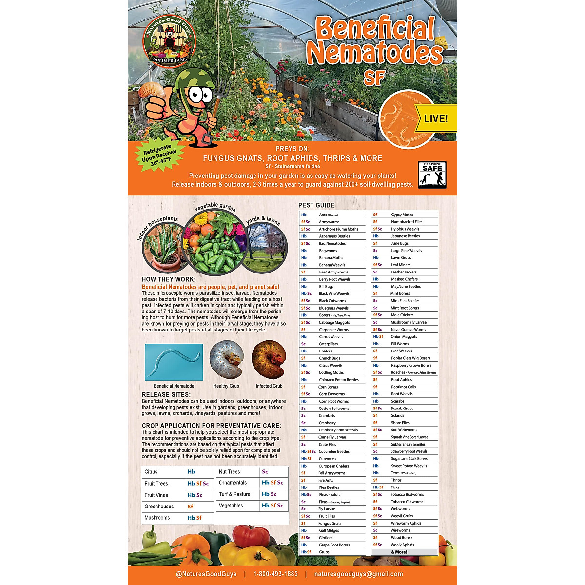 Natures Good Guys - Beneficial Nematodes Steinernema Feltiae - SF (10 Million)