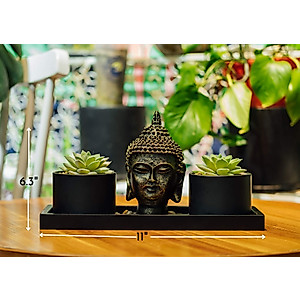 Buddha Statue & Succulent Zen Garden Set- Buddha Head Statue w/ Wooden Display Tray & Stones| Buddha Decor For Home Decor. Beautiful & Peaceful. Great Meditation Gifts.