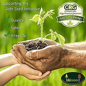 "Super Greens" Seeds for Planting, Organic Non-GMO Garden Vegetables, Arugula, Beets, Kale, Mesclun, Chard, Mustard, Spinach, BBB Seed