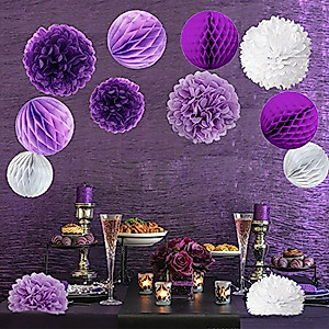 Cocodeko Tissue Paper Pompoms and Honeycomb Balls for Birthday Party Wedding Baby Shower Bridal Shower Festival Decorations - Purple, Lavender and White