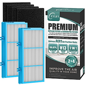 EGR HAPF30AT-Total Air Hepa Type Filter, AER1 Filters for Air Purifier Holmes, Replacement HAPF30AT and HAP242-NUC (2 True HEPA Filters + 4 Carbon Booster Filters +1 Cleaning brush)