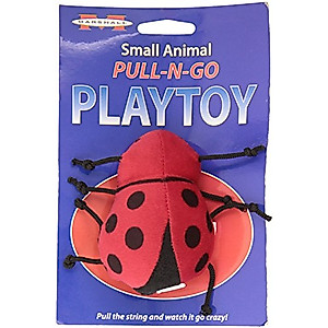 Marshall Pull-N-Go Ferret Toy, Assorted Style