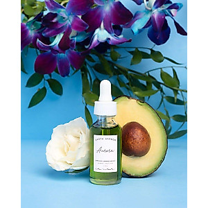 Earth Harbor | AURORA Superfood Luminance Ampoule | 100% Botanical Skin Treatment | Calm and Illuminate | Seaweed & Cannabis Sativa |1 fl oz