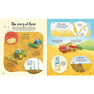 It all starts with a seed... How food grows