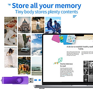 ERKE 2GB USB 2.0 Flash Drive 5 Pack Portable Thumb Drives Swivel Jump Drive Zip Drive Memory Sticks with Type-C/Micro USB Adapter for PC/Laptop(Purple 2GB)