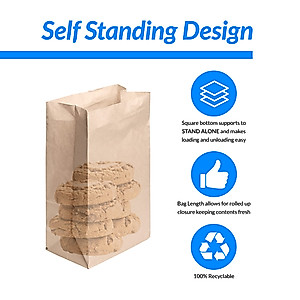 Reli. Paper Lunch Bags, 6 Lb | 500 Pcs - Bulk | Brown Paper Bags 6 lb Capacity | Kraft Lunch Bags/Small Grocery | Brown Sacks for Snacks, Crafts | Brown/Kraft