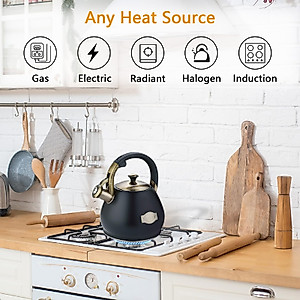 Tea Kettle Stovetop Whistling Kettle Teapot, 3Quart Tea Pot Stainless Steel Teakettle for Stove Top with Heat Proof Ergonomic Handle