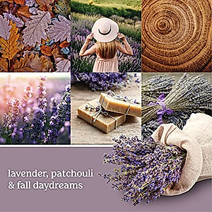 Yankee Candle Dried Lavender & Oak​ Scented, Classic 22 Oz Large Jar Single Wick Aromatherapy Candle, Over 110 Hours of Burn Time, Ideal for Creating a Welcoming Home (Pack of 2)