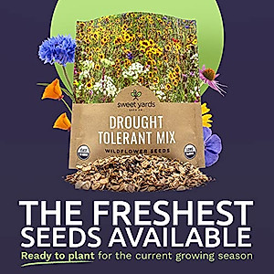 Sweet Yards Seed Co. Drought Tolerant Wildflowers Mix – Extra Large Packet – Over 7,500 Open Pollinated Non-GMO Seeds – 21 Different Dryland Species!