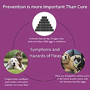 Flea and Tick Prevention for Cats, Cat Flea & Tick Control with Fipronil, Long-Lasting & Fast-Acting Topical Flea & Tick Treatment Drops for Kitten, 3 Doses