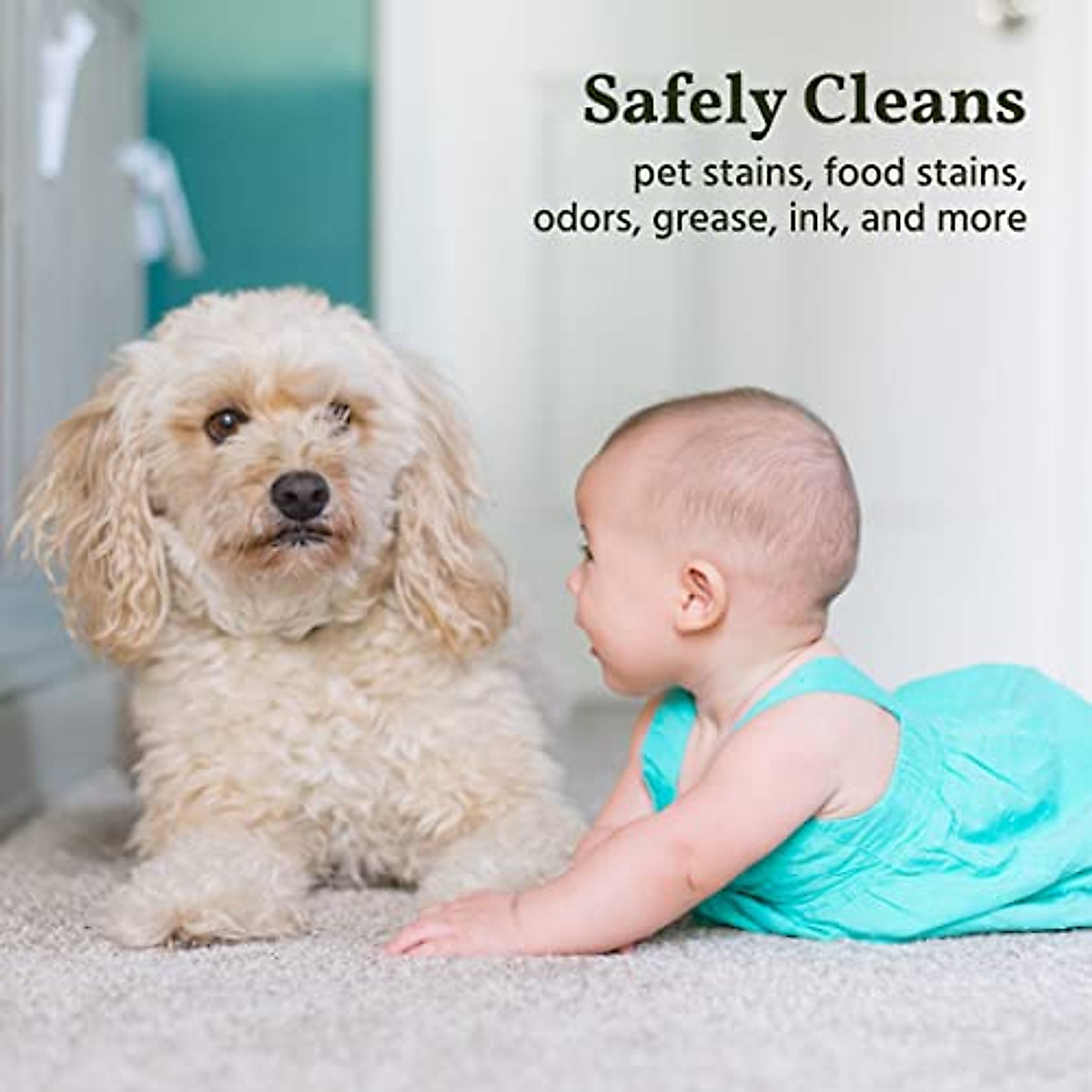 naturally it's clean Carpet Stains & Odors Cleaner; Plant Based Enzyme Safely Cleans Pet/Food Stains, Grease & Ink from Carpets, Rugs, Upholstery & Drapery, 24oz Spray Bottle x 2 Pack