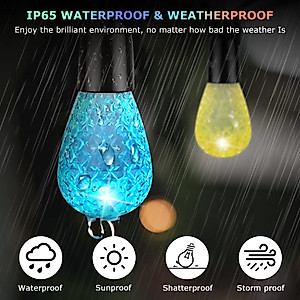 WENSEN Outdoor String Lights, 49FT 25 Bulbs Patio Lights Color Changing with Remote & App Control, IP65 Waterproof, Shatterproof Acrylic Led String Lights for Outside, Patio, Garden, Backyard, Party