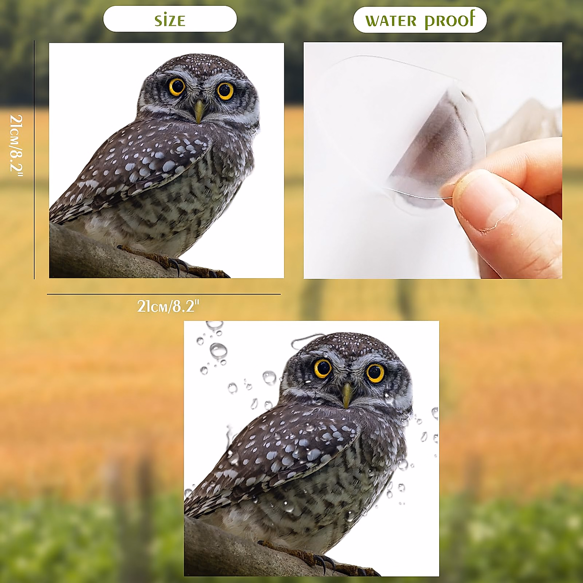 ROLY BEE 8.2 x 8.2-inch Realistic Owl Removable Vinyl Sticker for Windows (or Any Flat Surface)