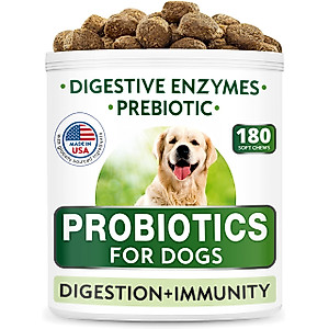 Dog Probiotics Chews Bundle - Gas, Diarrhea, Allergy, Constipation, Upset Stomach Relief, with Digestive Enzymes + Prebiotics - Chewable Fiber Supplement - Improve Digestion, Immunity - 300 Soft Chews