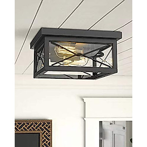 Emliviar 12 Inch Ceiling Light Fixture, 2-Light Flush Mount Ceiling Light in Black Finish, 0387B-CL BK