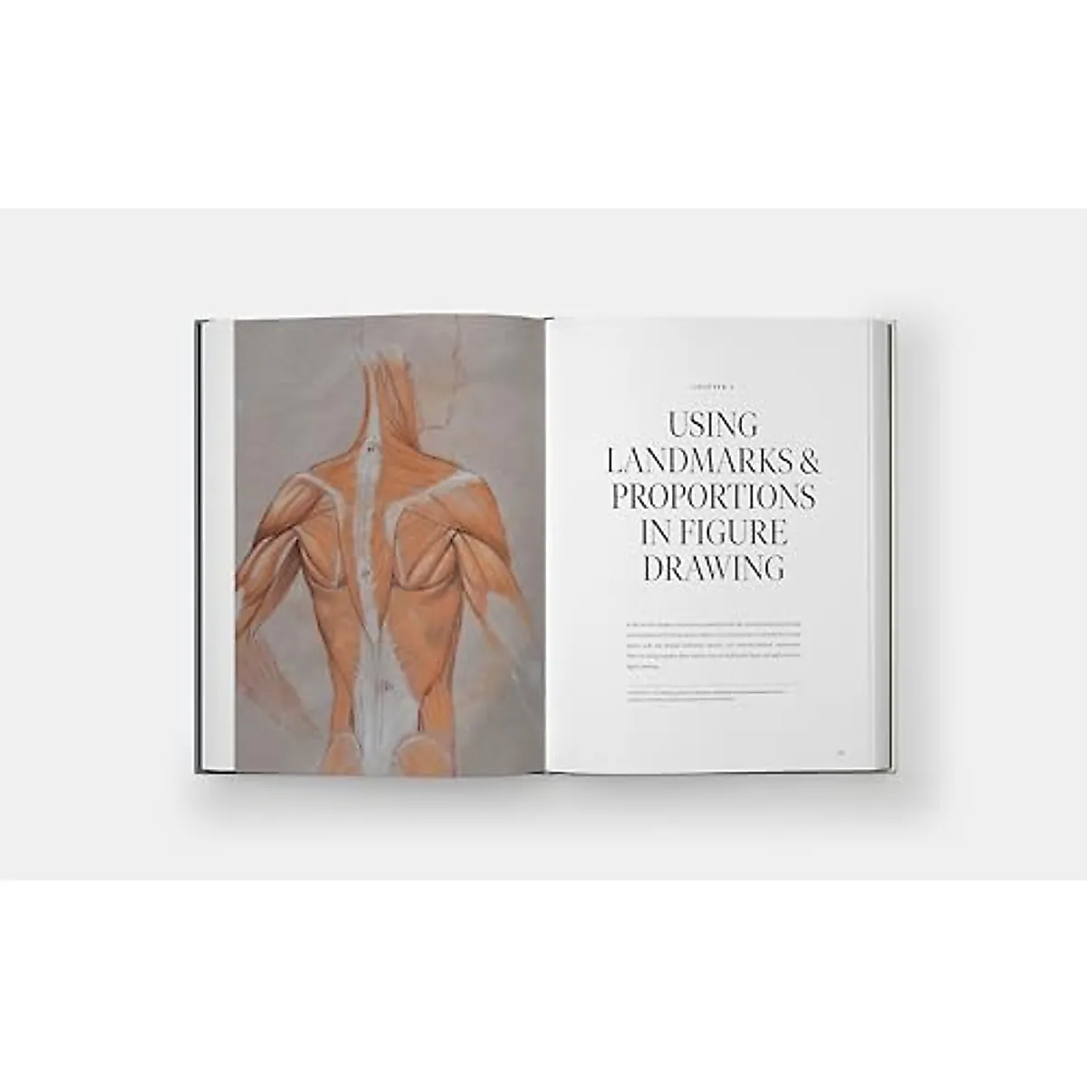 Dynamic Human Anatomy: An Artist's Guide to Structure, Gesture, and the Figure in Motion